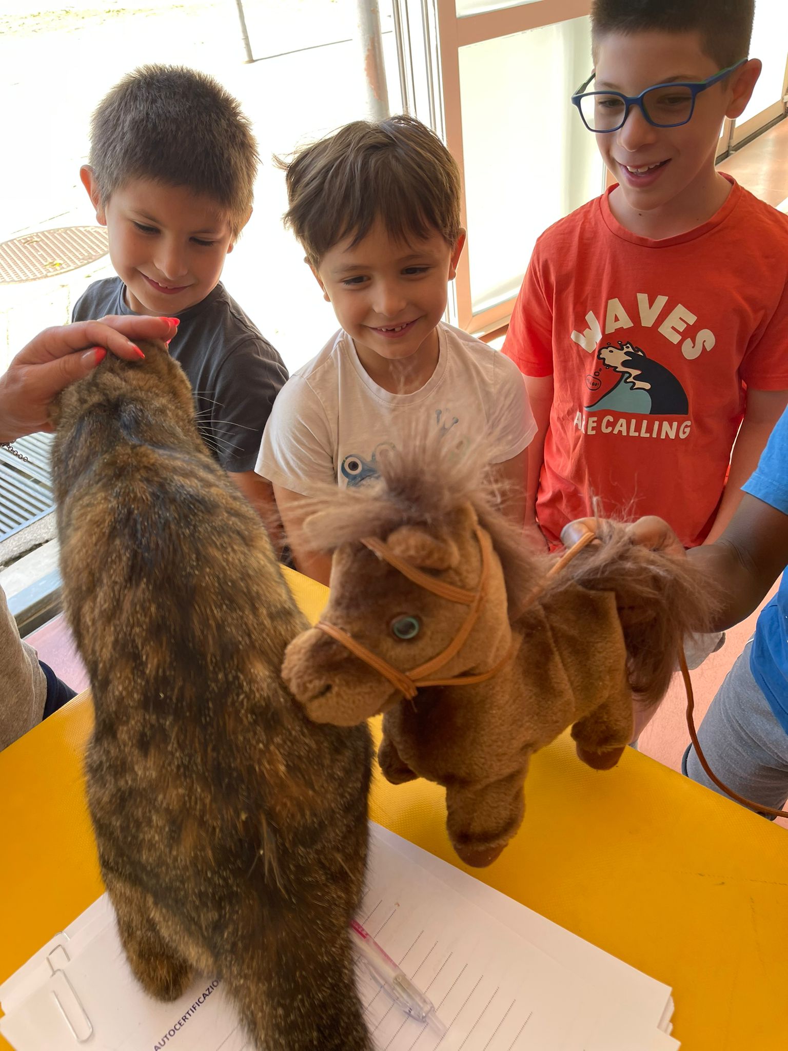 PHOTO-2022-08-17-10-06-35 - Moby Dick School